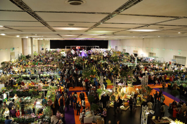 Orchidee.de – Deutsche Orchideen Gesellschaft