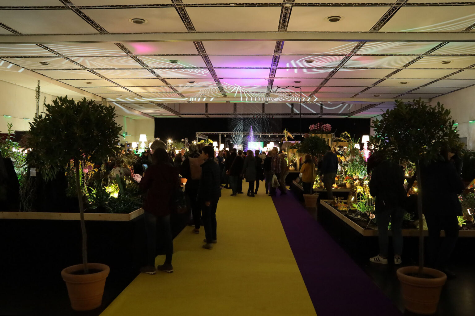 Internationale Orchideenwelt der DRESDNER OSTERN 2023 – Orchidee.de